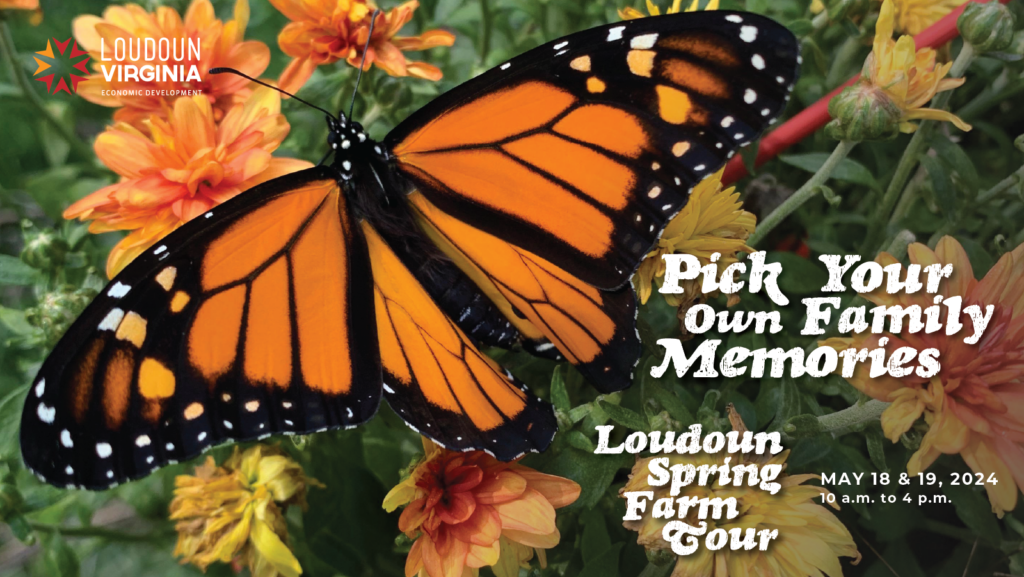 Experience the Bounty of Loudoun: Spring Farm Tour Returns with ...
